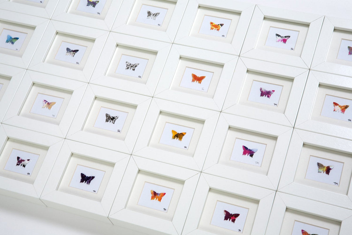 Watercolour butterflies – Tracey Mason